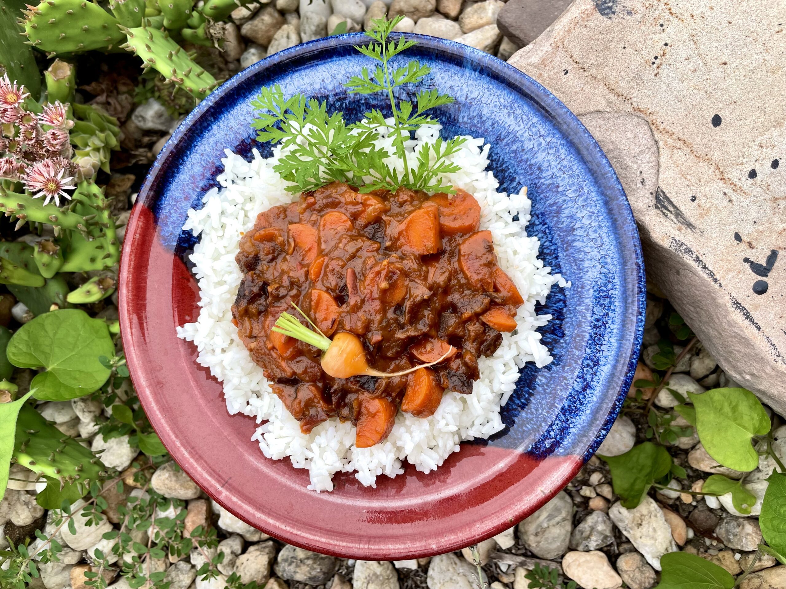 Vorin Sweet Carrot and Prune Curry - Zeela's Food Adventures